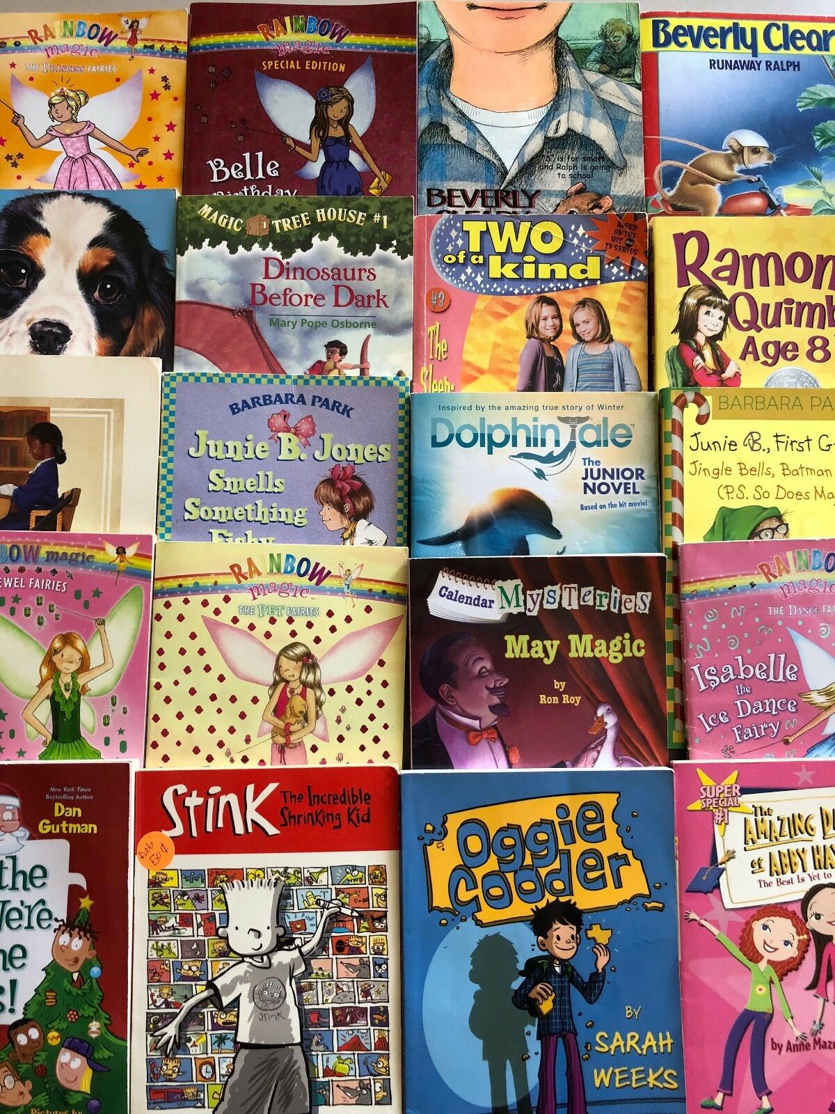 Lot of 15 GIRL chapter books RANDOM Younger of us's Youth Early Readers ...